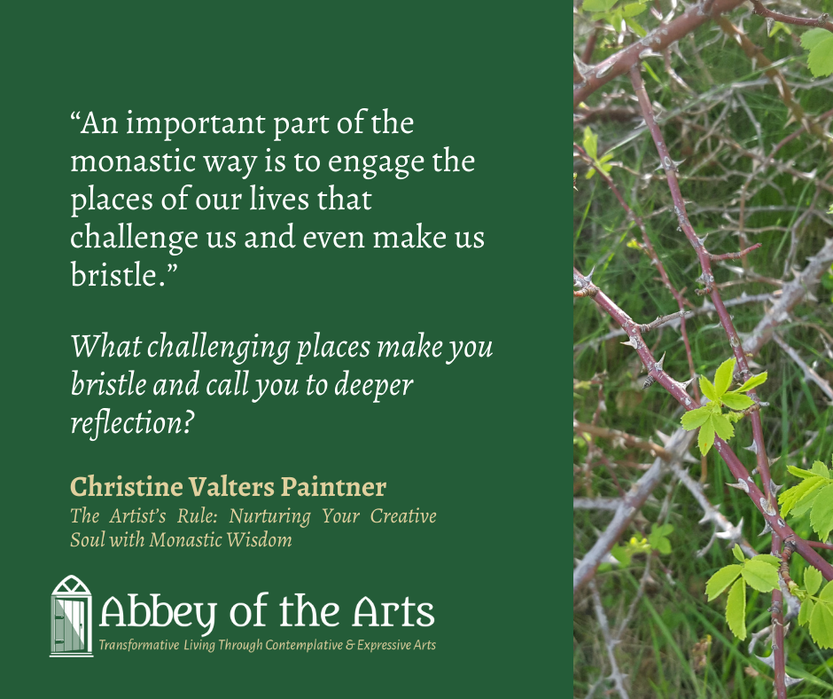 A Call to Introspection – Christine Valters Paintner | Pastor Michael ...