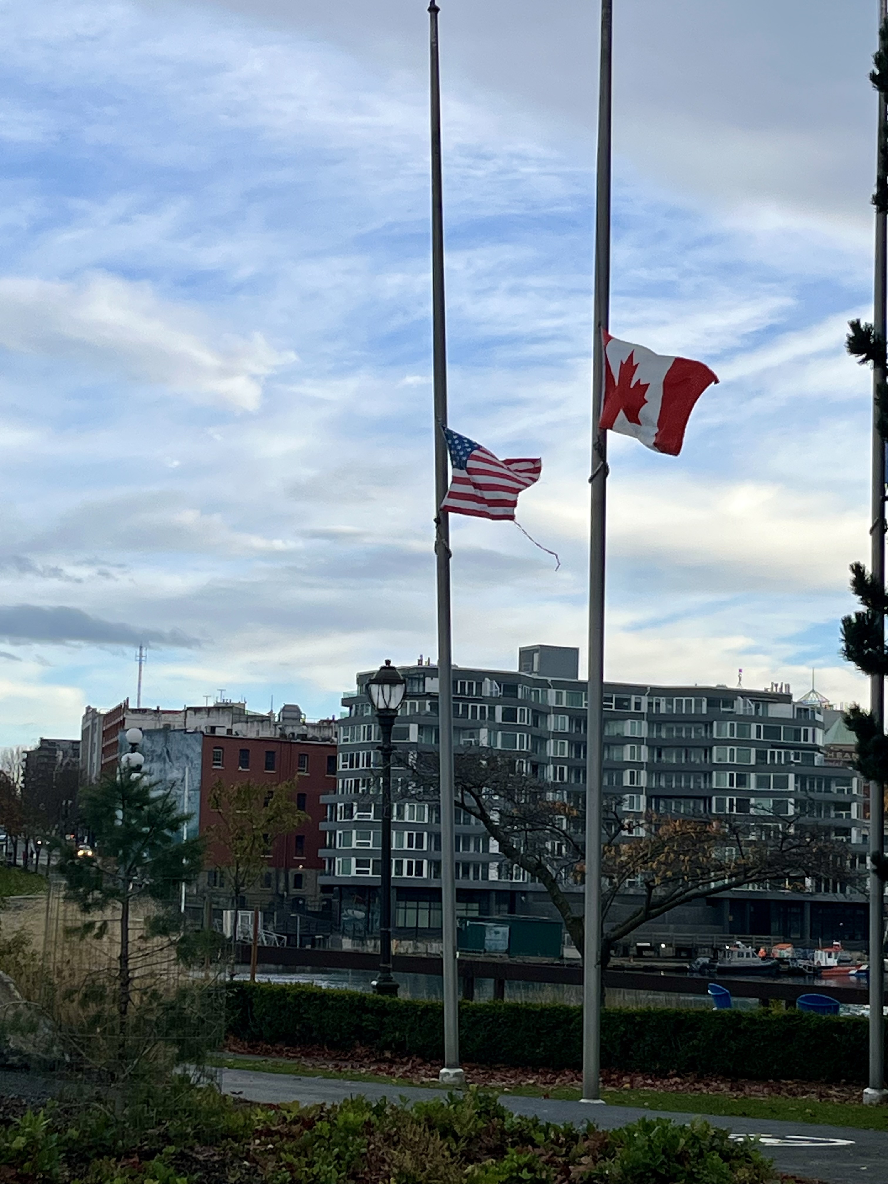 Remembrance Day 2024 – A Brief Reflection | Pastor Michael Moore's Blog